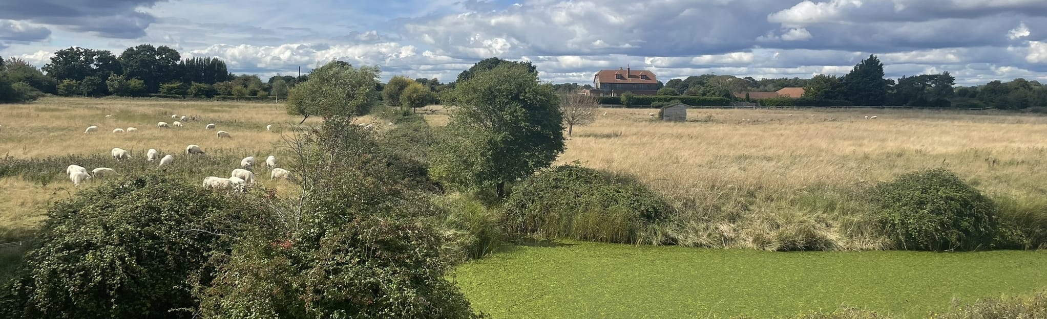 Thorney Island and Prinsted Beach Circular [WŁASNOŚĆ PRYWATNA]: 373 ...