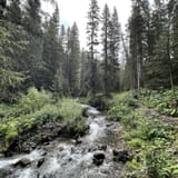 Blaine Basin, Colorado - 301 Reviews, Map | AllTrails
