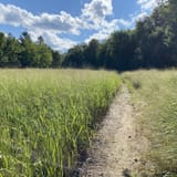 Stepstone Falls via Ben Utter Trail, Rhode Island - 1,432 Reviews, Map ...