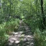 Stepstone Falls via Ben Utter Trail, Rhode Island - 1,432 Reviews, Map ...