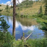 Lower Cataract Loop Trail, Colorado - 876 Reviews, Map | AllTrails