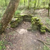 Hickory Ridge Outer Trail, Tennessee - 385 Reviews, Map | AllTrails