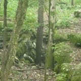 Hickory Ridge Outer Trail, Tennessee - 385 Reviews, Map | AllTrails