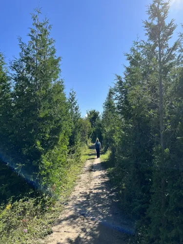 Best Hikes and Trails in Point Farms Provincial Park | AllTrails