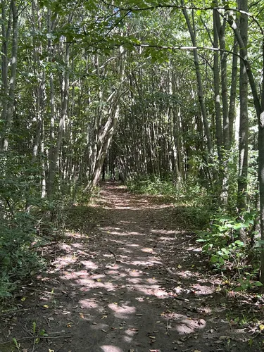 Best Beach Trails in Ashfield-Colborne-Wawanosh | AllTrails