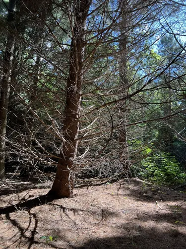 Best Hikes and Trails in Point Farms Provincial Park | AllTrails