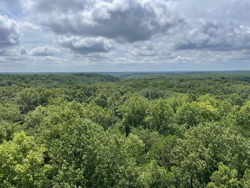 10 Best Trails and Hikes in Bloomington | AllTrails