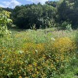 Point Douglas Trail, Minnesota - 257 Reviews, Map | AllTrails