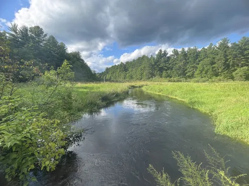 2023 Best Easy Trails in Marlborough-Sudbury State Forest | AllTrails