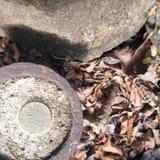 Magens Bay Beach Trail, Saint Thomas, US Virgin Islands - 349 Reviews ...