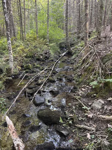 Best Hikes and Trails in Stover Preserve | AllTrails