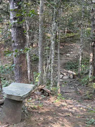 Best Hikes and Trails in Stover Preserve | AllTrails