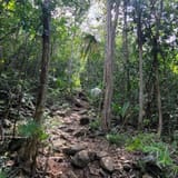 Magens Bay Beach Trail, Saint Thomas, US Virgin Islands - 349 Reviews ...