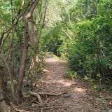 Magens Bay Beach Trail, Saint Thomas, US Virgin Islands - 349 Reviews ...