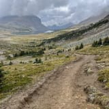 Skoki Loop Backpacking Trail, Alberta, Canada - 364 Reviews, Map ...
