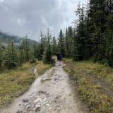 Skoki Loop Backpacking Trail, Alberta, Canada - 368 Reviews, Map ...