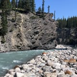 Cline River Trail, Alberta, Canada - 383 Reviews, Map | AllTrails