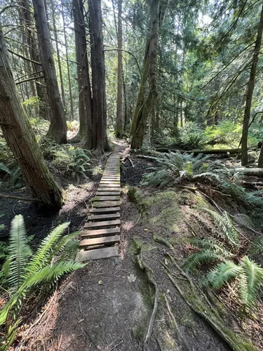Best Hikes and Trails in Anderson Lake State Park | AllTrails