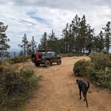 Black Mountain OHV Trail, California - 561 Reviews, Map | AllTrails
