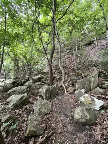 Best Hikes and Trails in Raven Rock State Nature Preserve | AllTrails