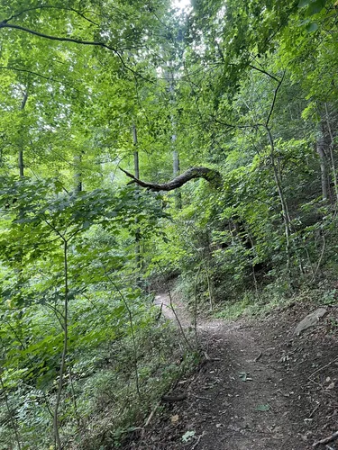 Best Hikes and Trails in Raven Rock State Nature Preserve | AllTrails