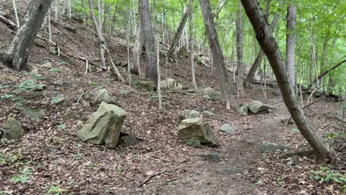 Best Hikes and Trails in Raven Rock State Nature Preserve | AllTrails