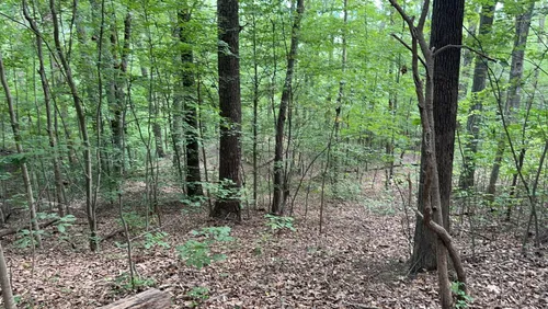 Best Hikes and Trails in Raven Rock State Nature Preserve | AllTrails