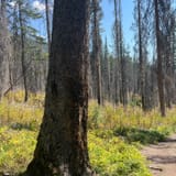 Morrell Falls National Recreation Trail, Montana - 507 Reviews, Map ...