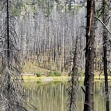 Morrell Falls National Recreation Trail, Montana - 507 Reviews, Map ...