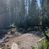 Morrell Falls National Recreation Trail, Montana - 507 Reviews, Map ...