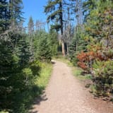 Morrell Falls National Recreation Trail, Montana - 507 Reviews, Map ...