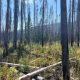 Morrell Falls National Recreation Trail, Montana - 507 Reviews, Map ...