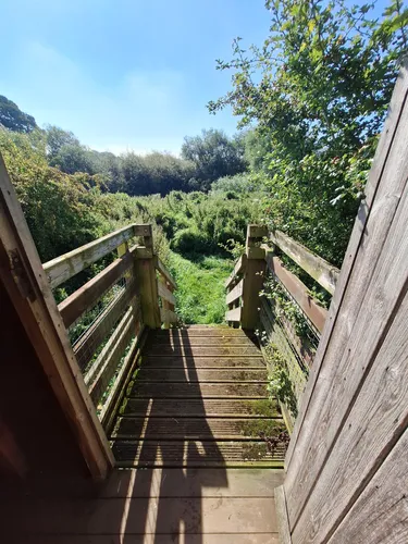 Best Hikes and Trails in Wheldrake Ings Nature Reserve | AllTrails