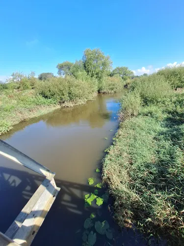 Best Hikes and Trails in Wheldrake Ings Nature Reserve | AllTrails