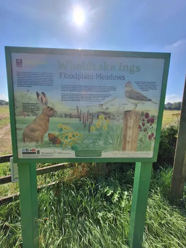 Best Hikes and Trails in Wheldrake Ings Nature Reserve | AllTrails