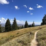 Bogus Basin Loop Trail, Idaho - 252 Reviews, Map | AllTrails