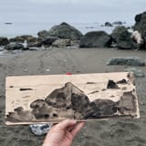 Blacklock Point Trail, Oregon - 379 Reviews, Map | AllTrails