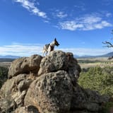Turret Trail, Colorado - 315 Reviews, Map | AllTrails