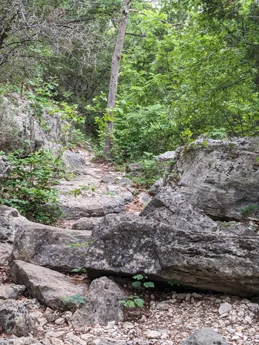 Best Hikes and Trails in Lost Maples State Natural Area | AllTrails