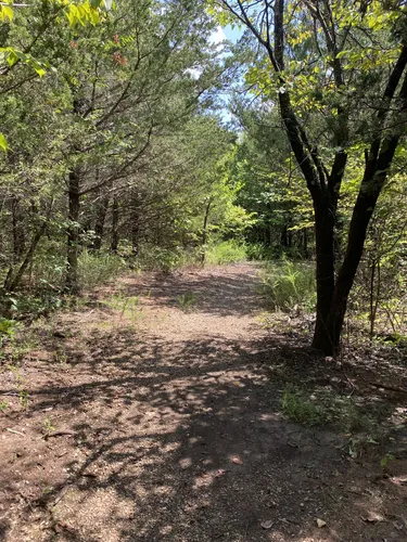 Best Hikes and Trails in Perry State Park | AllTrails