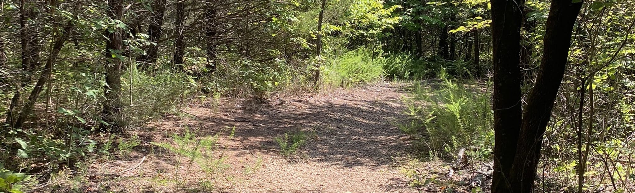 Perry State Park Loop Trail: 172 Reviews, Map - Kansas | AllTrails