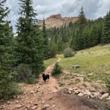 Devils Playground from the Crags, Colorado - 784 Reviews, Map | AllTrails