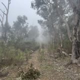 Long Gully Track Loop, Victoria, Australia - 58 Reviews, Map | AllTrails