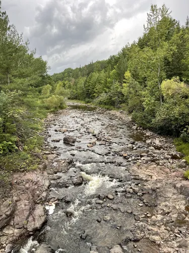 Best Hikes and Trails in Copper Falls State Park | AllTrails