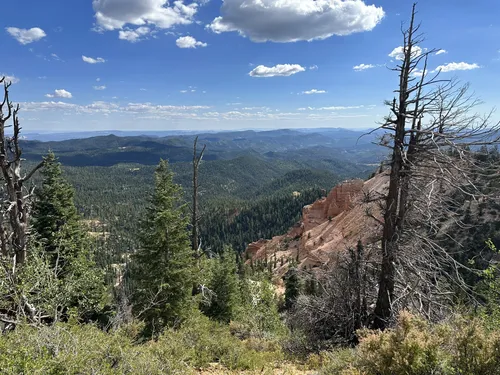 Best Hikes and Trails in Duck Creek Village | AllTrails