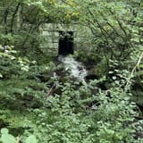 Redbank Valley Trail, Pennsylvania - 161 Reviews, Map | AllTrails