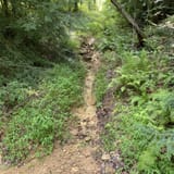 Redbank Valley Trail, Pennsylvania - 161 Reviews, Map | AllTrails