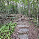 Collins Gulf Trail to Horsepound Falls and Collins River, Tennessee ...