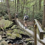 Collins Gulf Trail to Horsepound Falls and Collins River, Tennessee ...