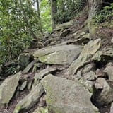 Collins Gulf Trail to Horsepound Falls and Collins River, Tennessee ...